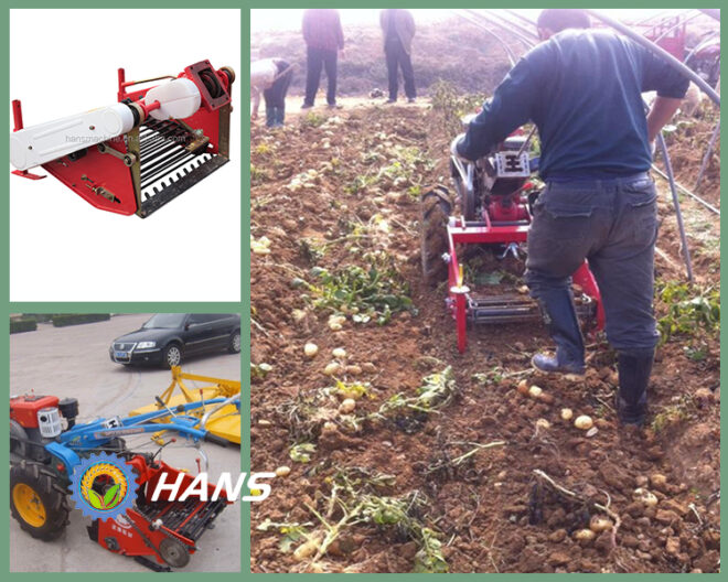 Potato Harvest Machine - Hans Agriculture Machinery